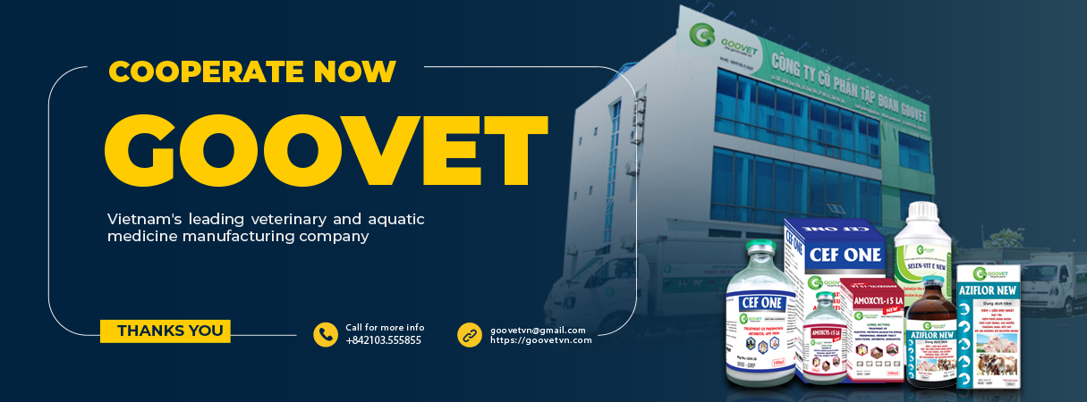 Goovet | Vietnam's No.1 Veterinary and Aquatic Medicine Company