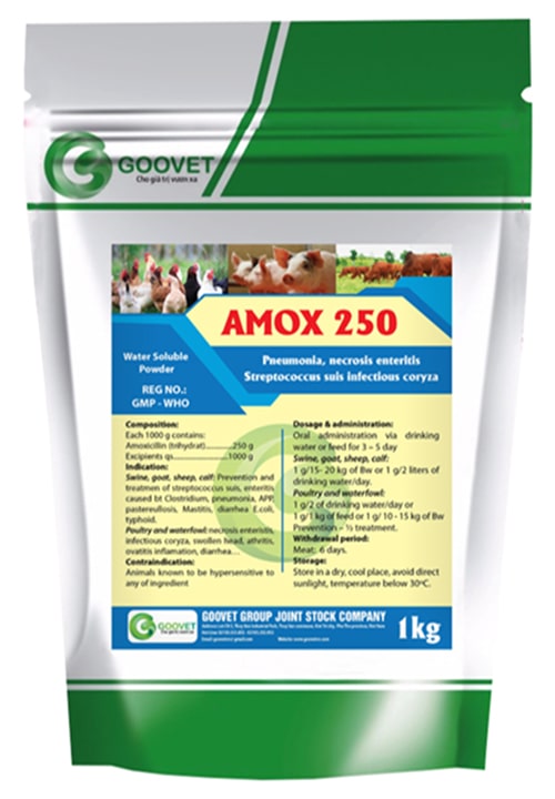 AMOX 250 - goovetvn.com