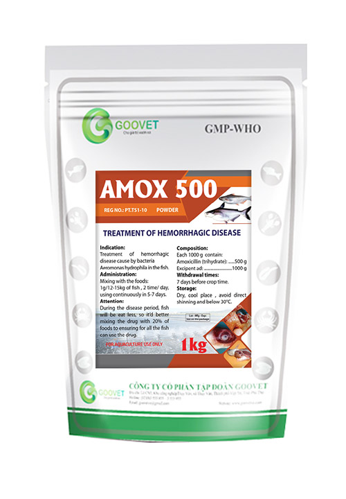 AMOX 500 - goovetvn.com