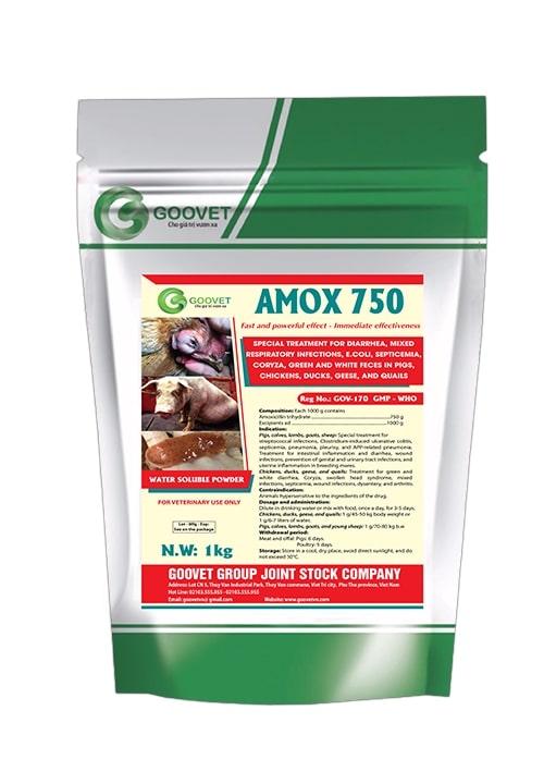AMOX 750 - goovetvn.com