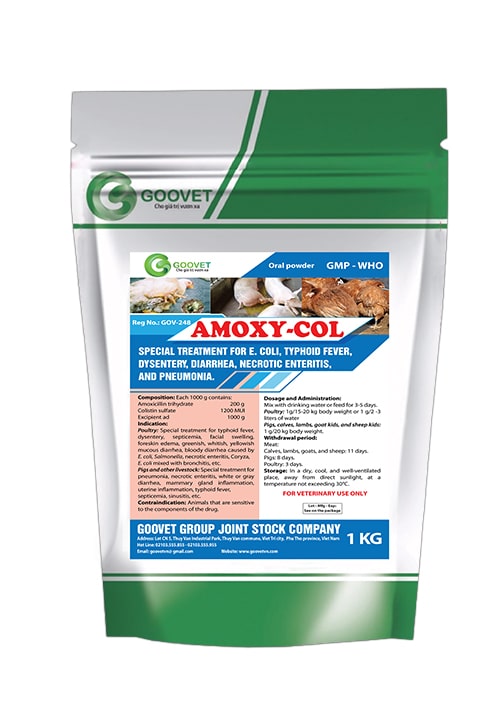 AMOXY-COL - goovetvn.com