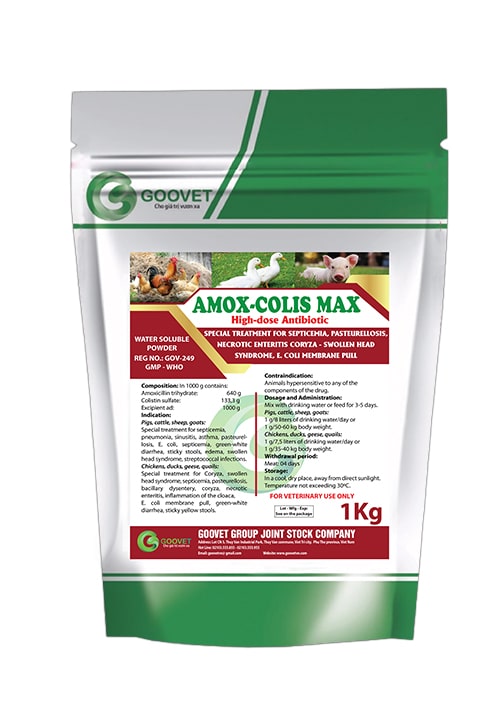 AMOX-COLIS MAX
