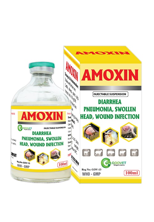 AMOXIN - goovetvn.com