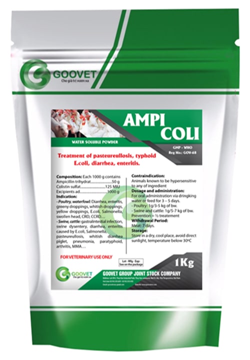 AMPI-COLI - goovetvn.com