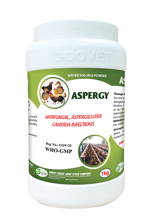 ASPERGY - goovetvn.com
