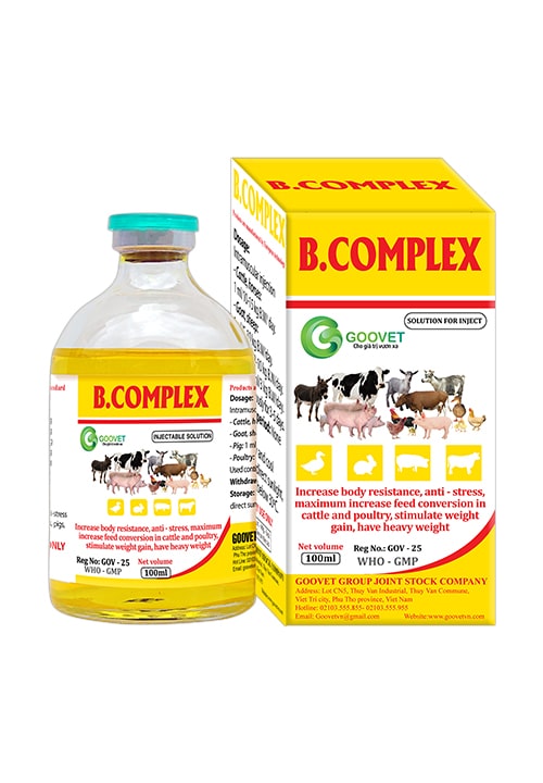 B.COMPLEX - goovetvn.com