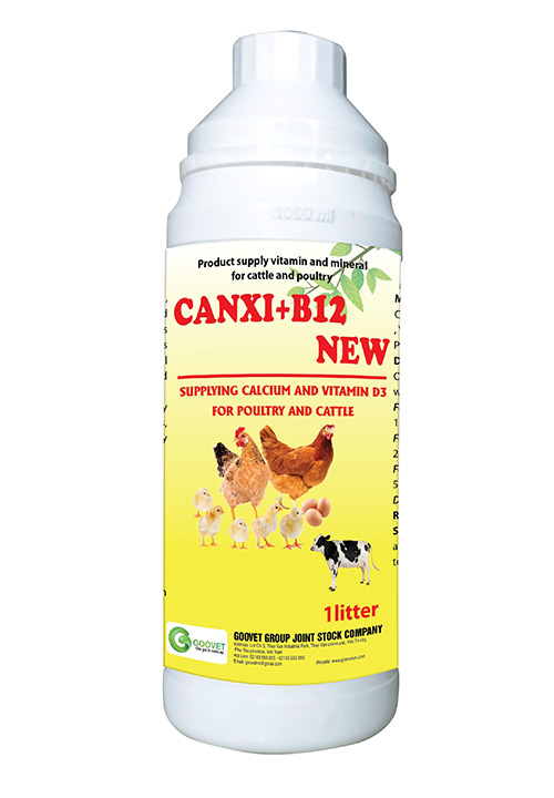 CANXI+B12 NEW