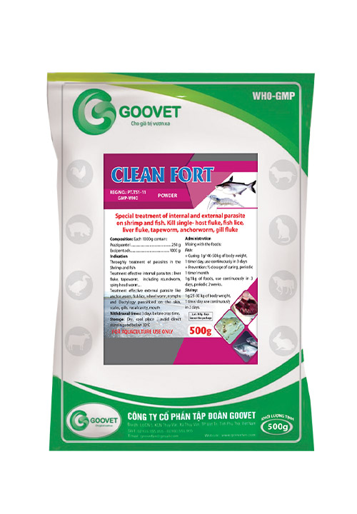 CLEAN FORT - goovetvn.com
