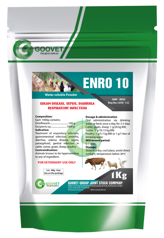 ENRO 10 - goovetvn.com