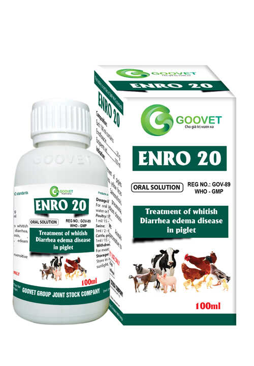 ENRO 20 - goovetvn.com