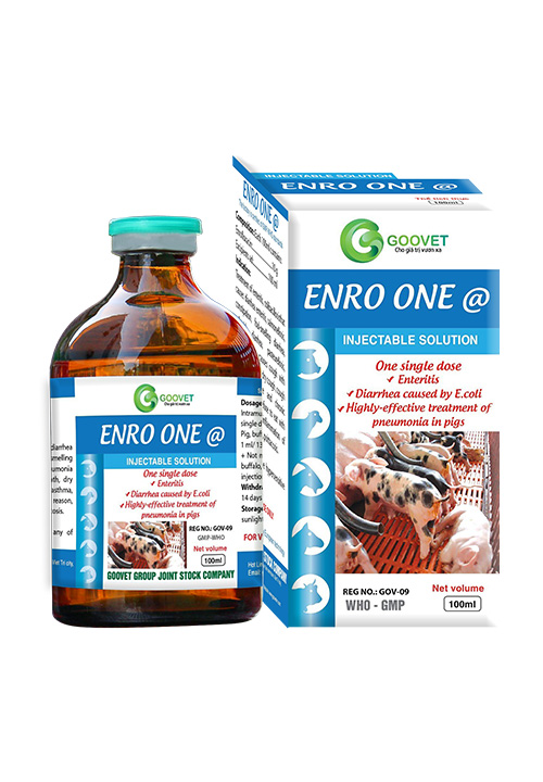 ENRO ONE @ One single dose for respiratory, digestive, urinary ...