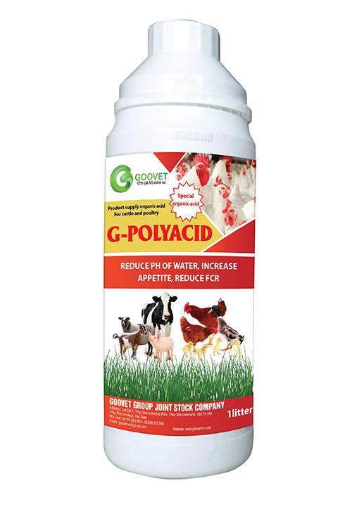 G-POLYACID - goovetvn.com