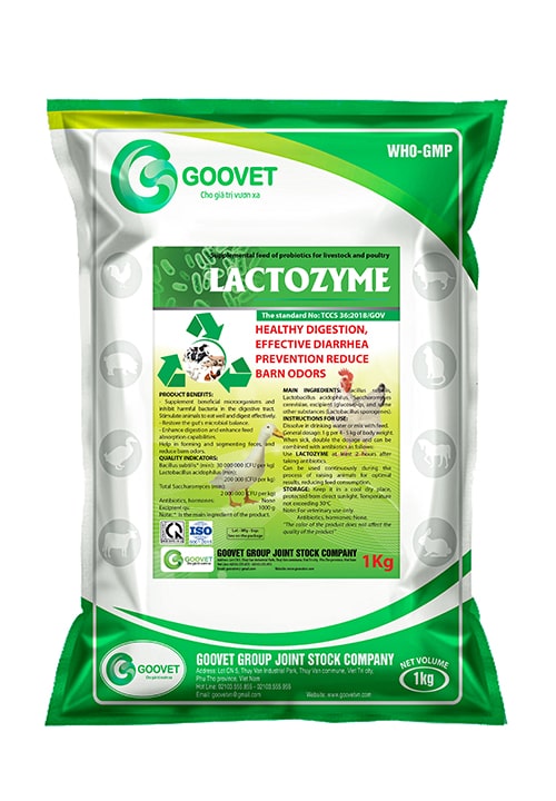 LACTOZYME - goovetvn.com