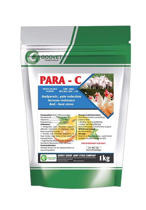 PARA - C - goovetvn.com