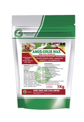AMOX-COLIS MAX