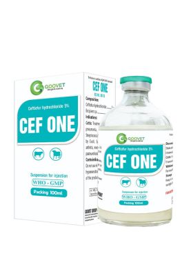 Goovet | Vietnam's No.1 Veterinary and Aquatic Medicine Company