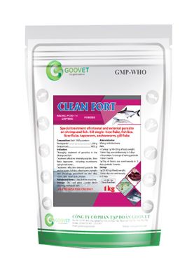 CLEAN FORT - goovetvn.com