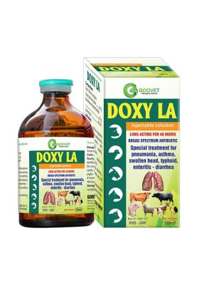 Injection Solution