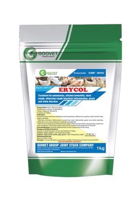 ERYCOL - goovetvn.com