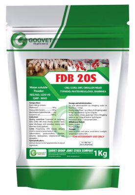 FDB 20S - goovetvn.com