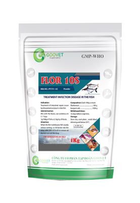 FLOR 10S - goovetvn.com