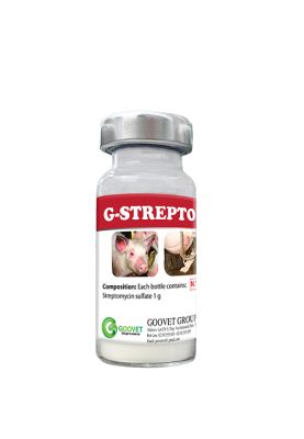 G-STREPTOMYCIN