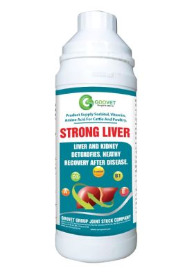 STRONG LIVER