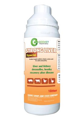 STRONG LIVER SPECIAL