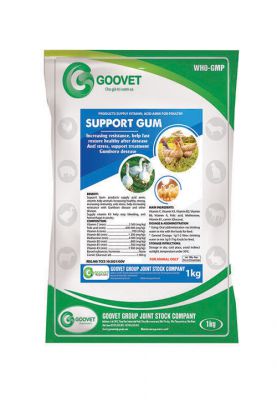 SUPPORT GUM