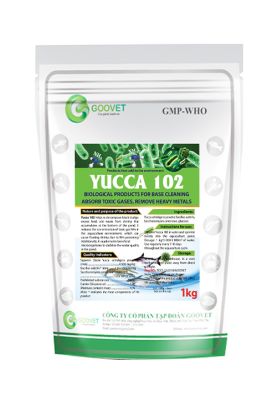 Goovet 's Aquatic Medicine