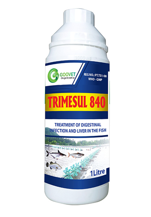 TRIMESUL 840 (fish)
